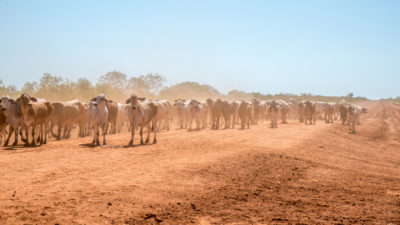 Civil Construction Works – APV Contracting | Civil Contractors ...